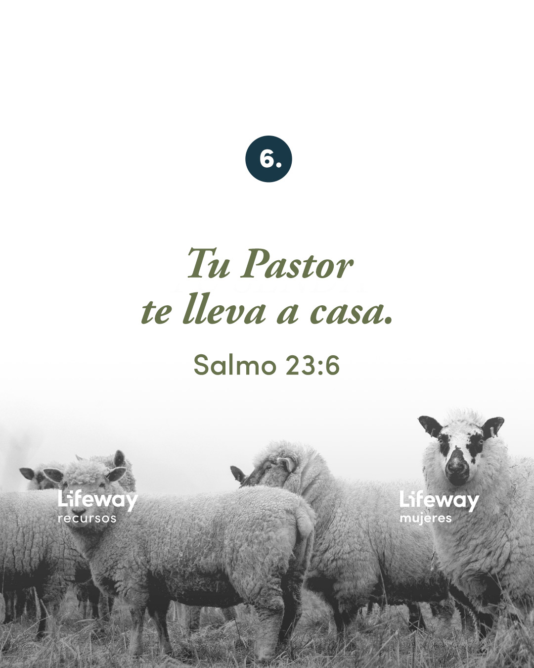 Salmo 23 - Lifeway Recursos