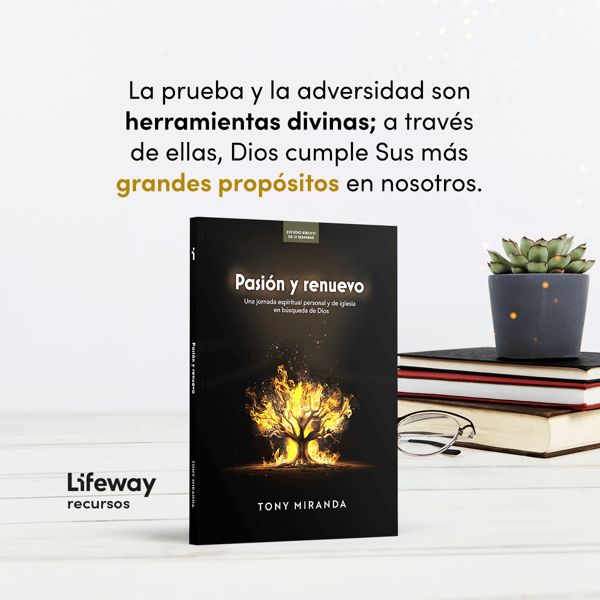 Pasión y Renuevo - Lifeway Recursos