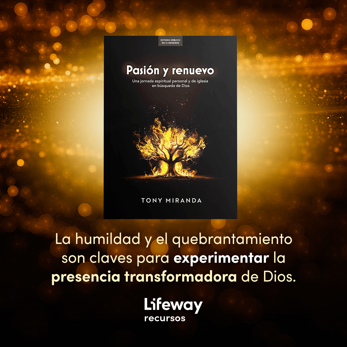 Pasión y Renuevo - Lifeway Recursos