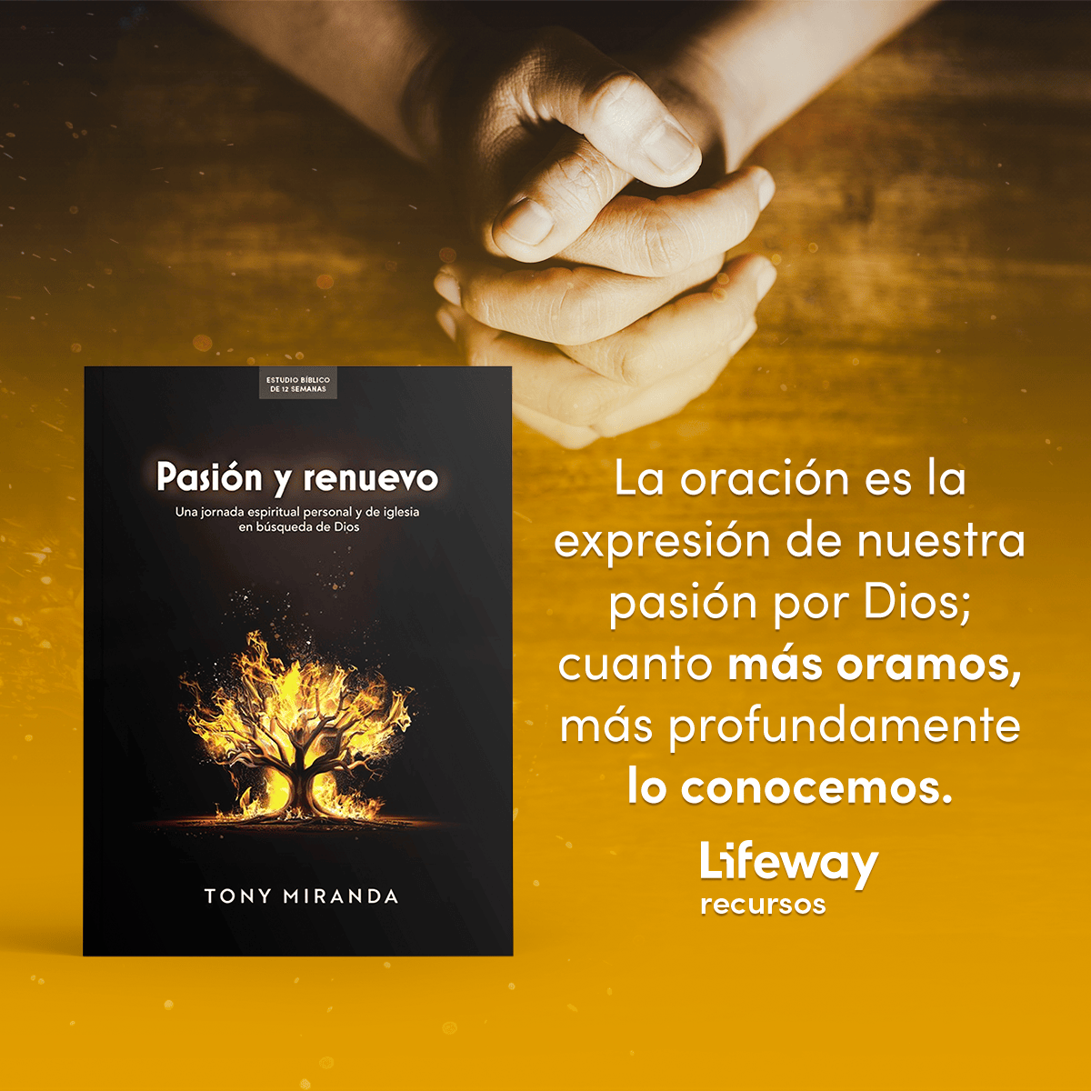 Pasión y Renuevo - Lifeway Recursos
